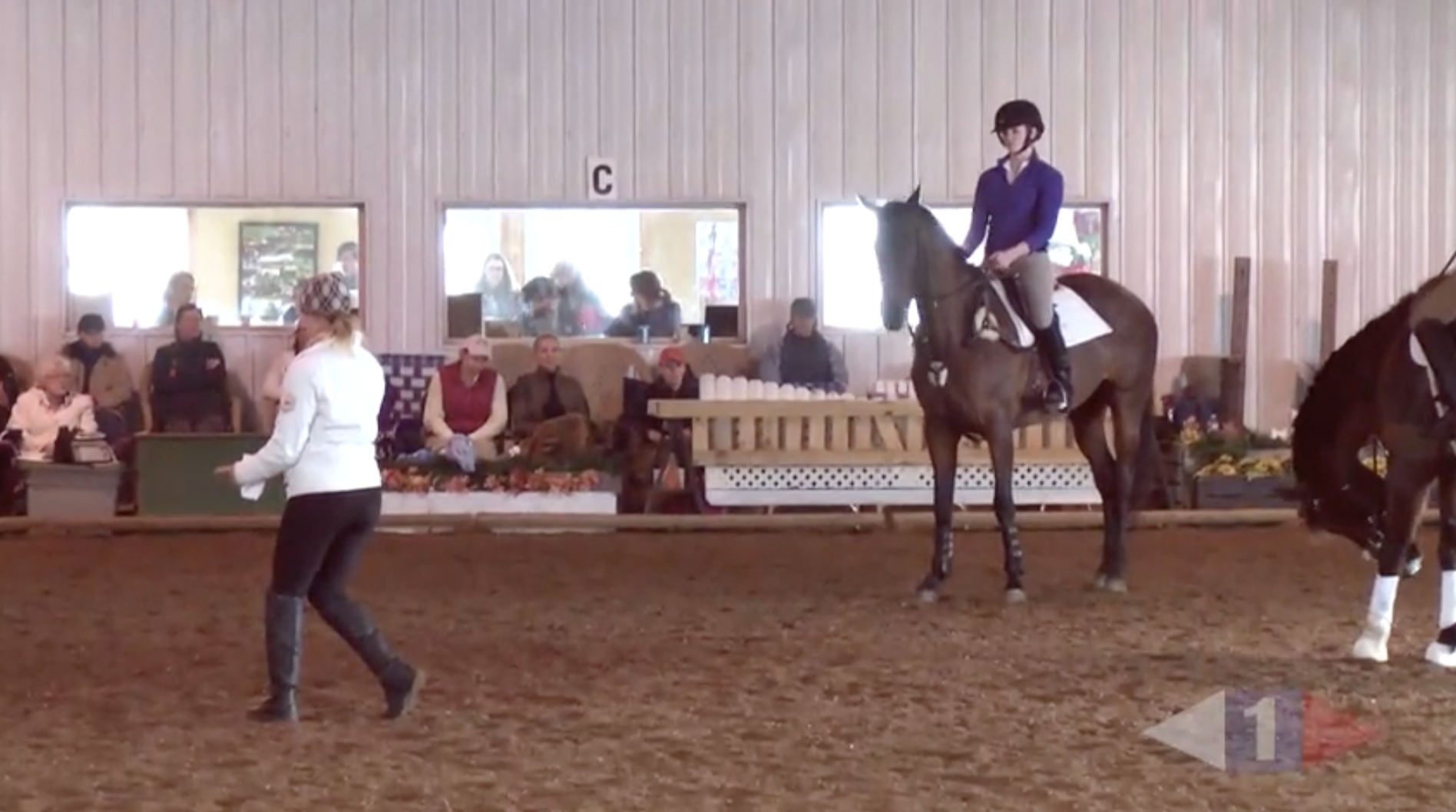 USEA | VIDEO: Eventing Training Online Presents Turn on the Forehand…