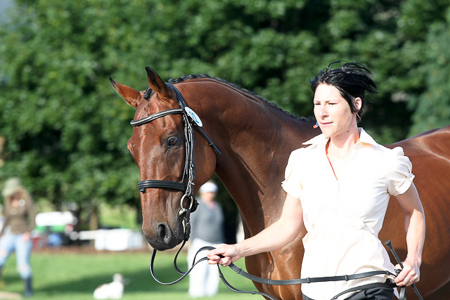 USEA | 2011 Rebecca Farm: CCI* First Horse Inspection