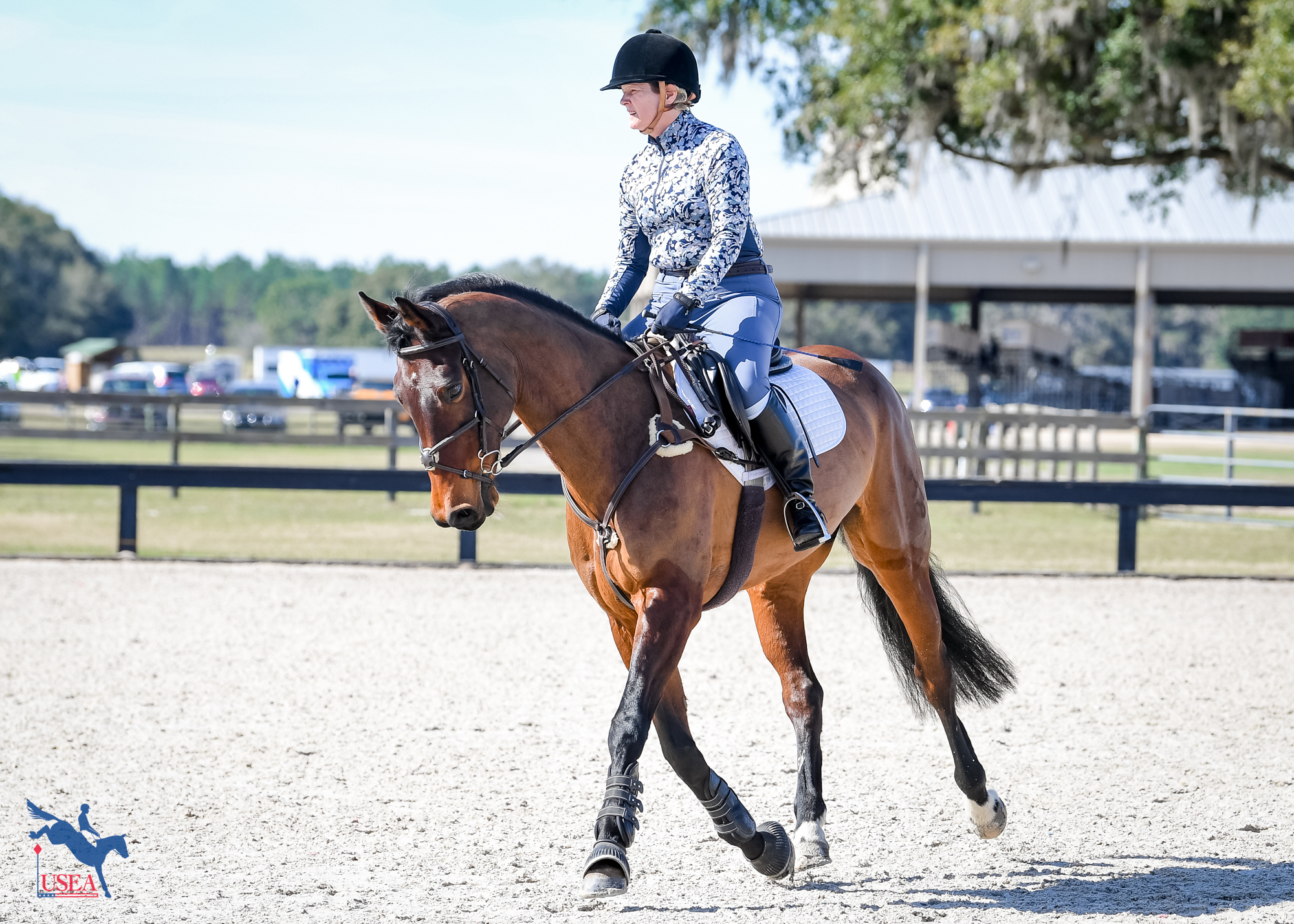 USEA | Through the Lens: 2024 ECP Symposium