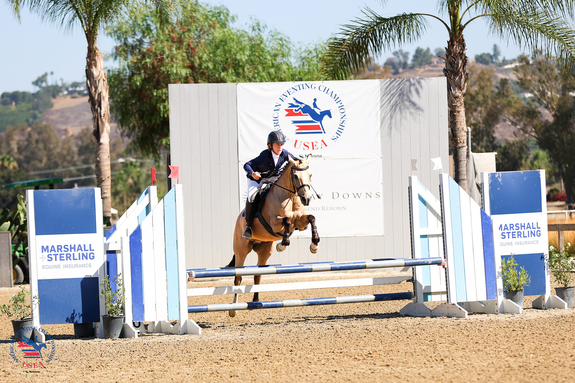 USEA | Beginner Novice and Starter Competitors Close Out #AEC2025