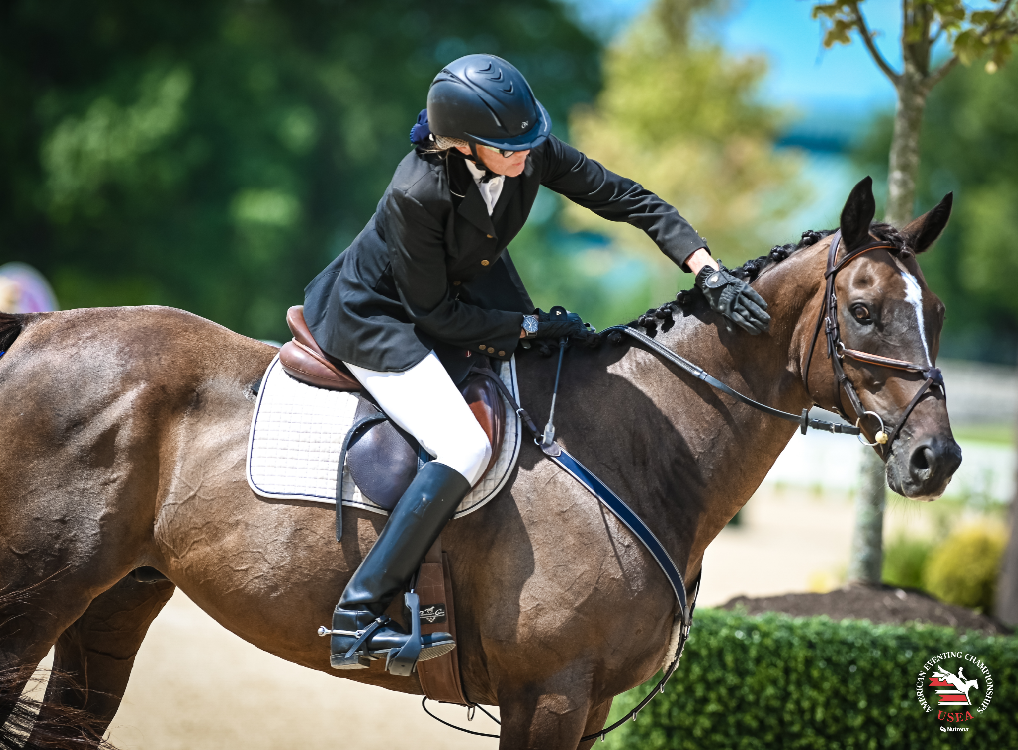 USEA | Open and Junior Starter Divisions to be offered at 2024 USEA…