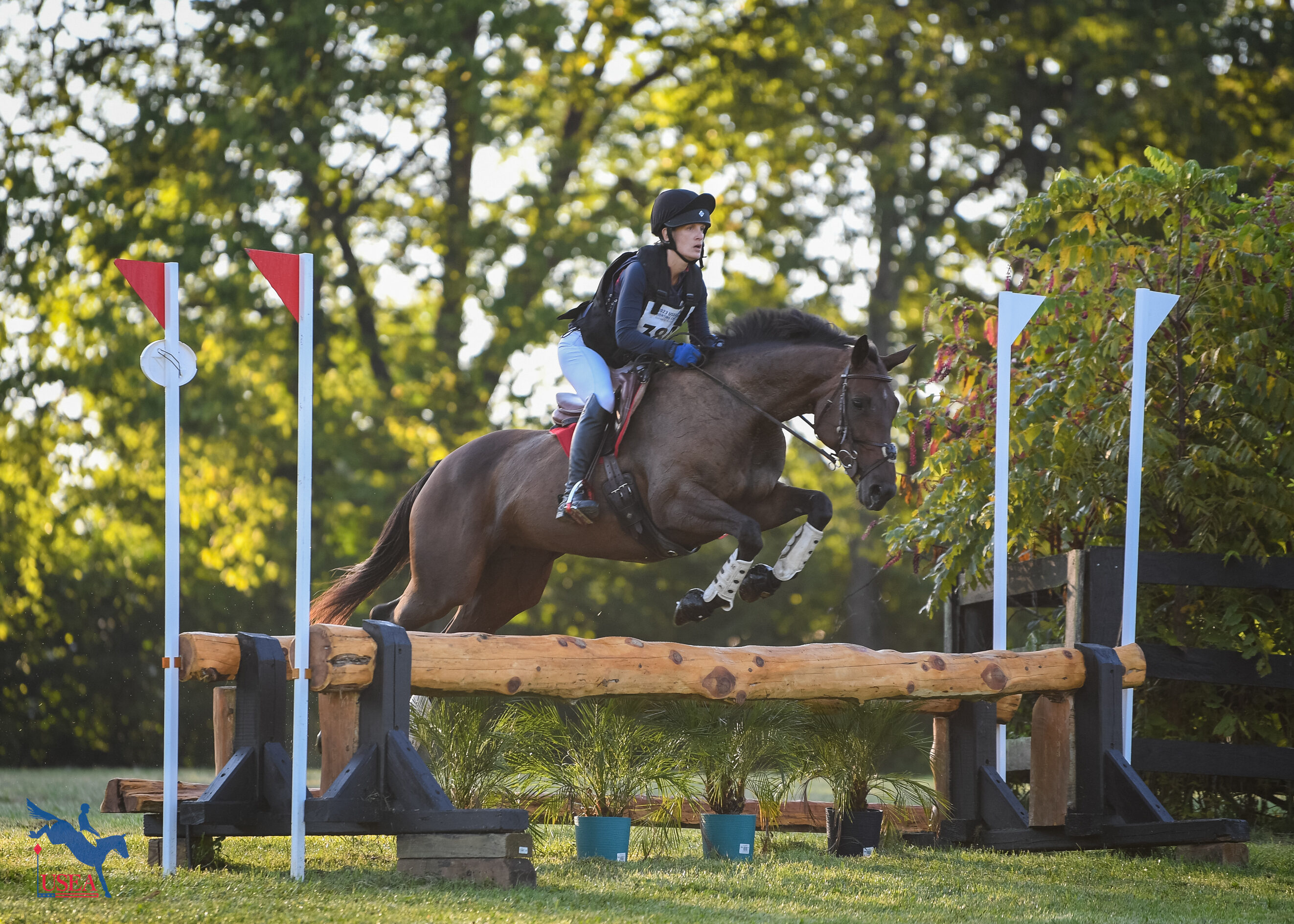 USEA | Weekend Quick Links: August 2-3