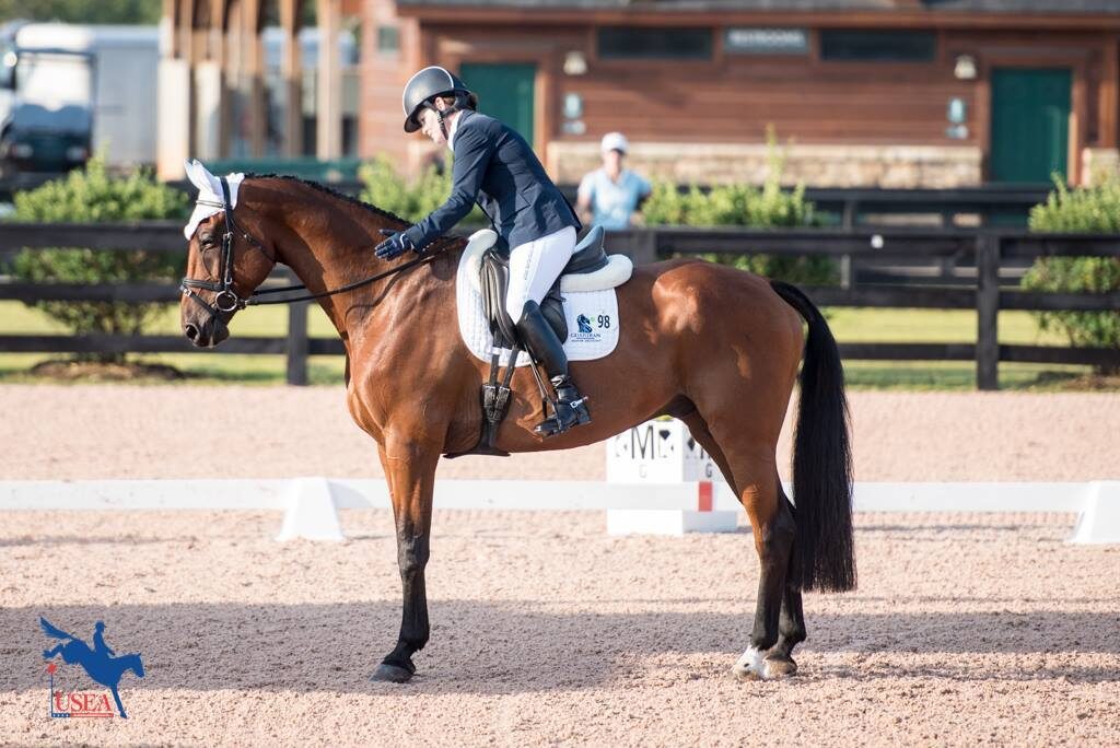 USEA | Dressage Test Released for New Modified Level