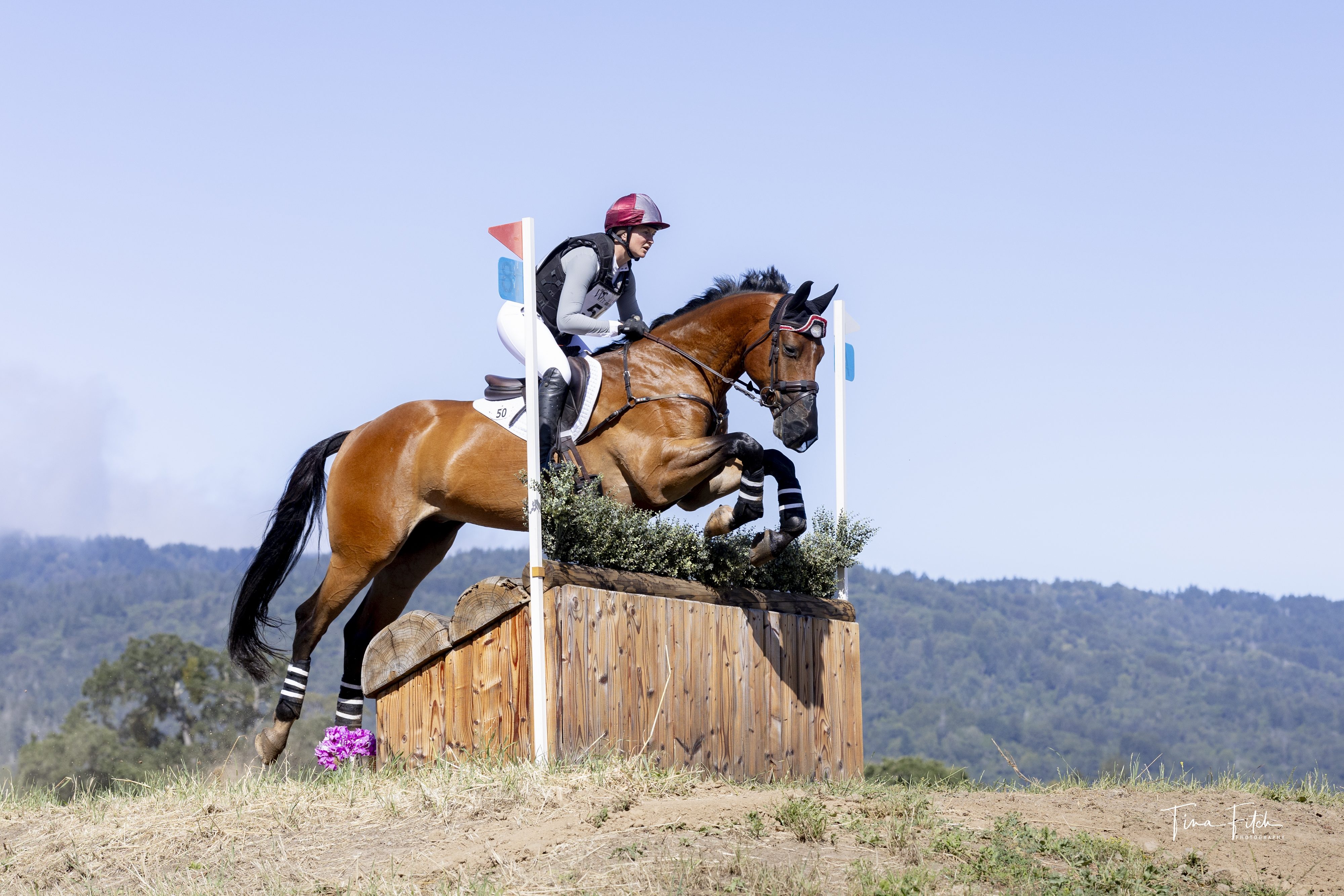 USEA | Woodside Spring Horse Trials Features Modified Match Divisions