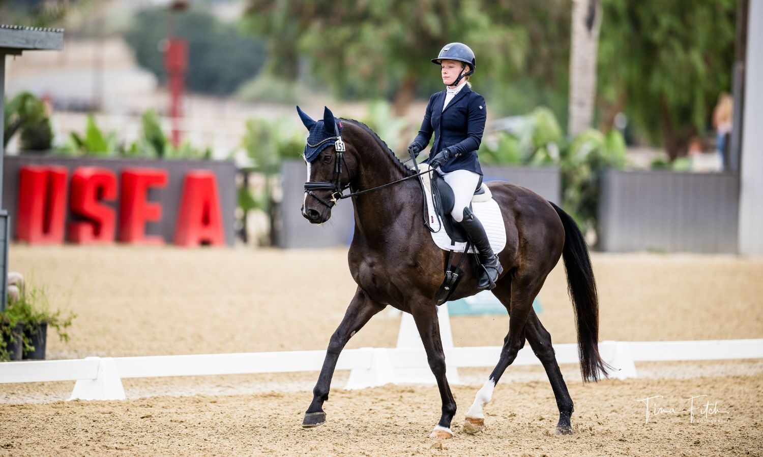 USEA | Novice and Intermediate Competitors Dance in the Dressage Ring…