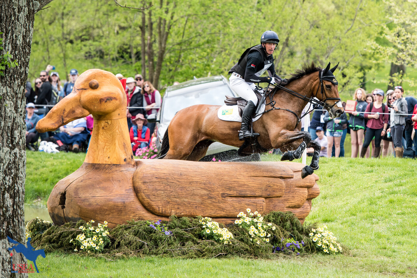 USEA | Rule Refresher: Cross-Country Obstacles