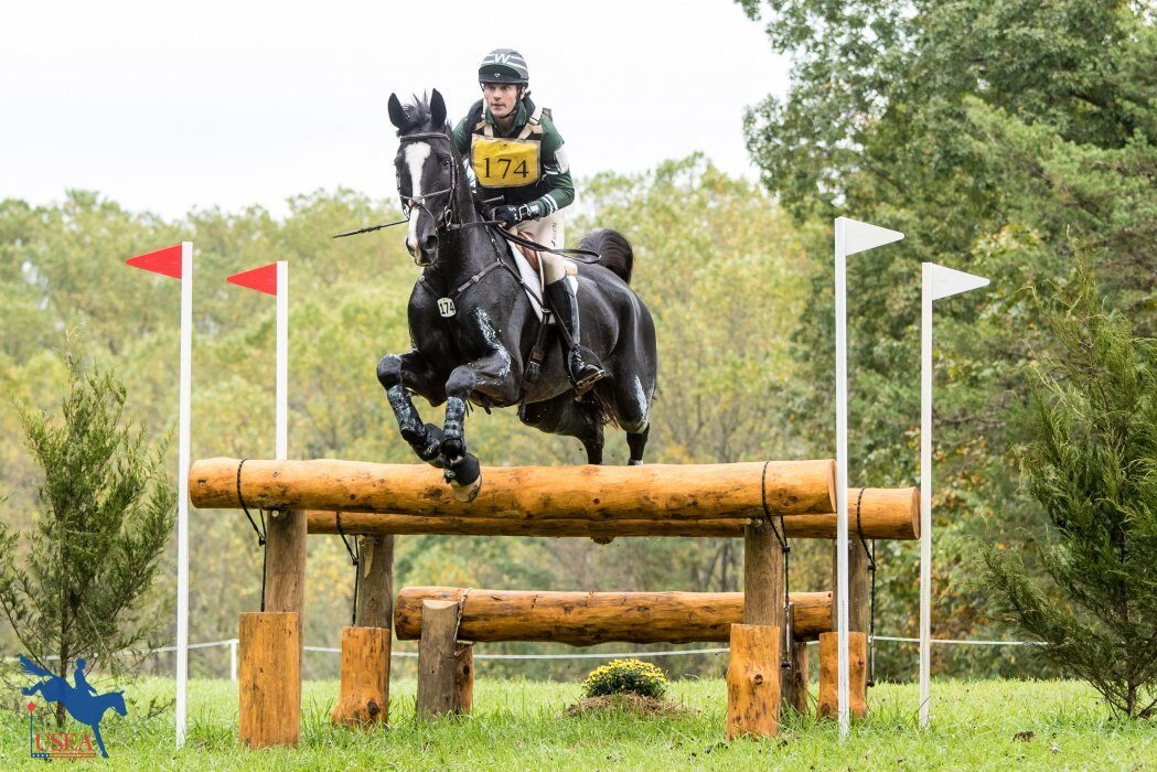 USEA | USEA Statement: The Time is Now for Frangible Fence Technology