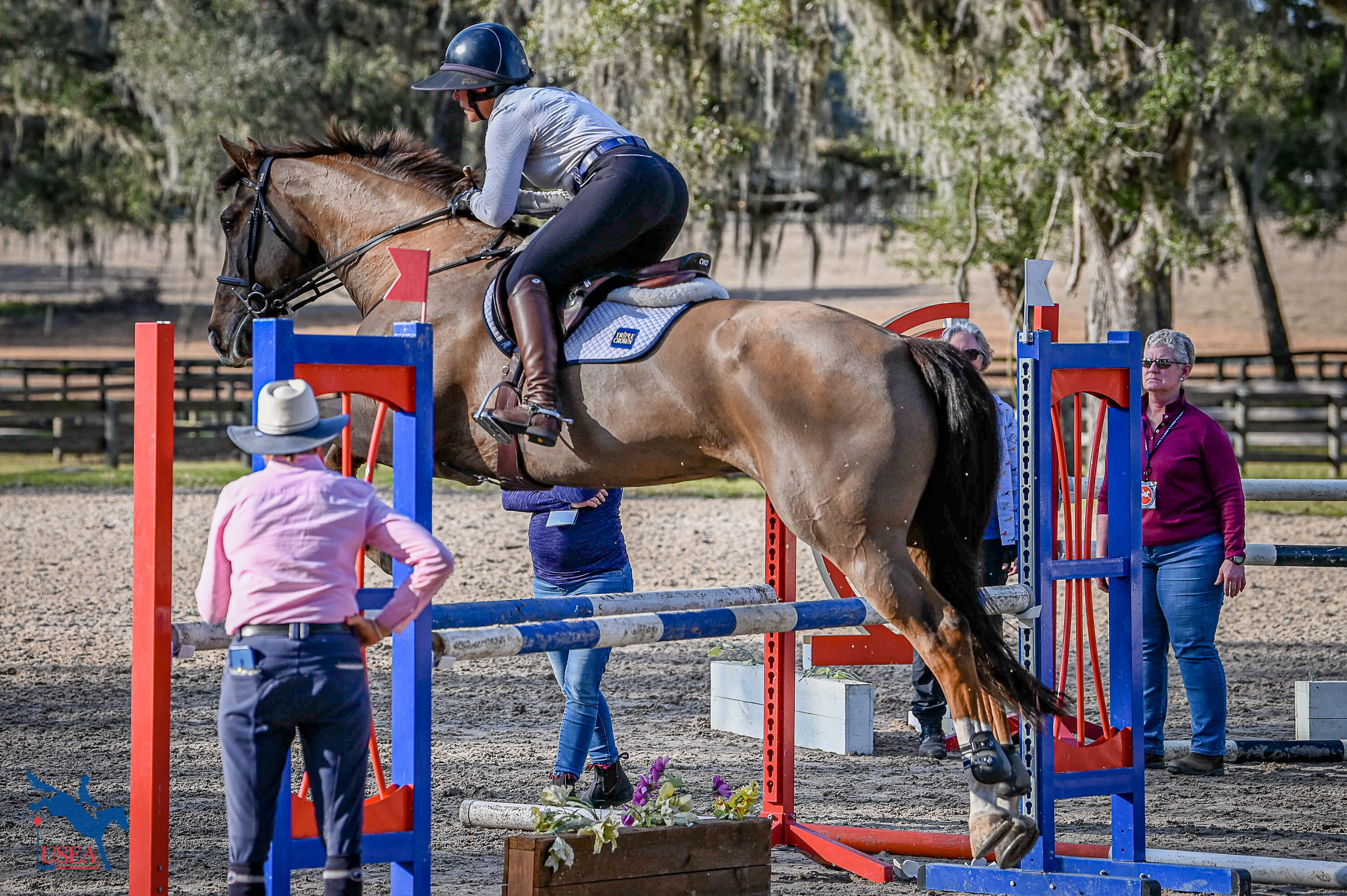 USEA | The Five Rider Responsibilities in Show Jumping: 2023 ECP…