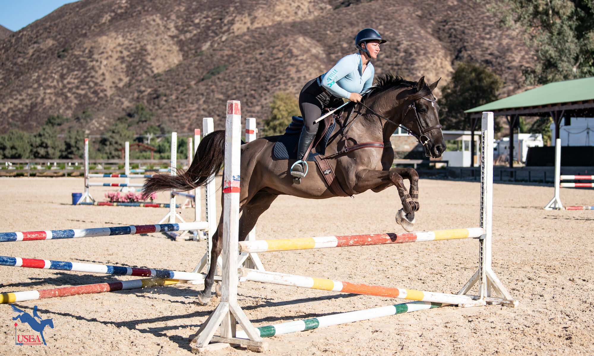 USEA | Top Takeaways From Day 2 of the USEA ECP Symposium