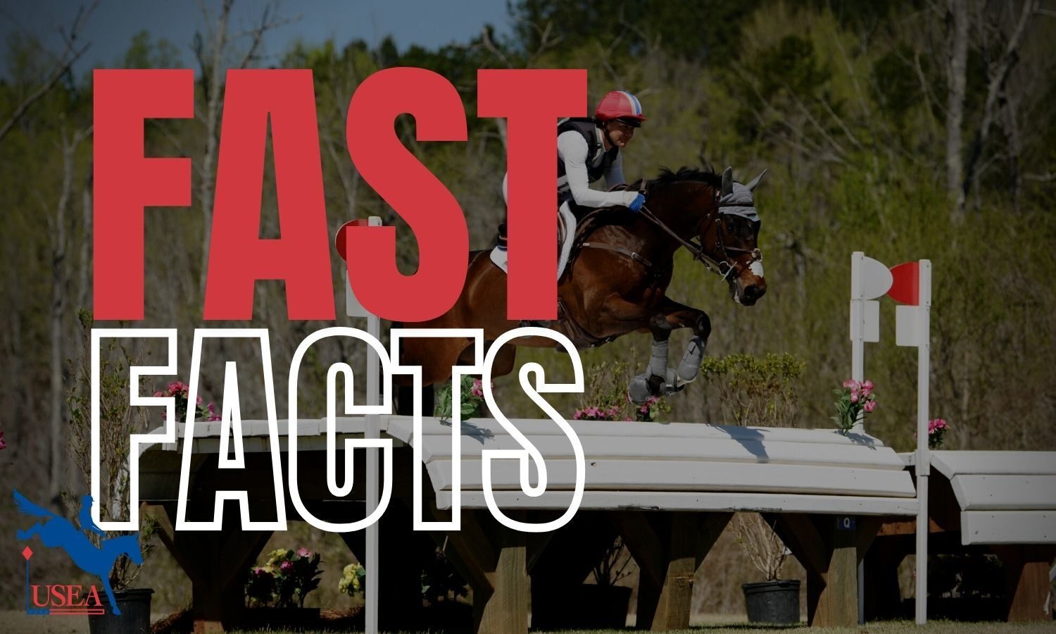 USEA | Fast Facts: 2023 Tryon International Spring Three-Day Event