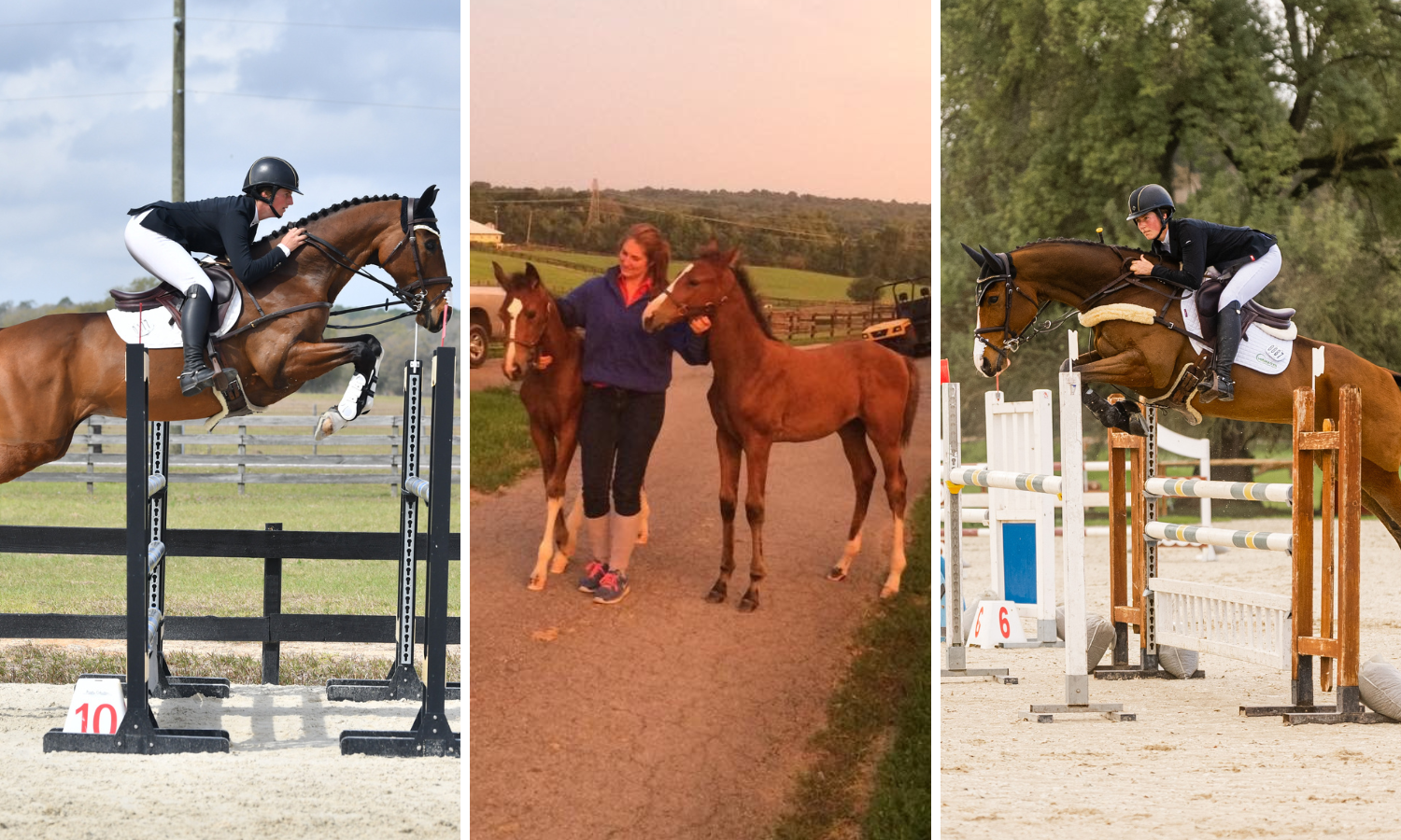 USEA | The Horizons are Clear for Alexa Thompson and Her Homebreds