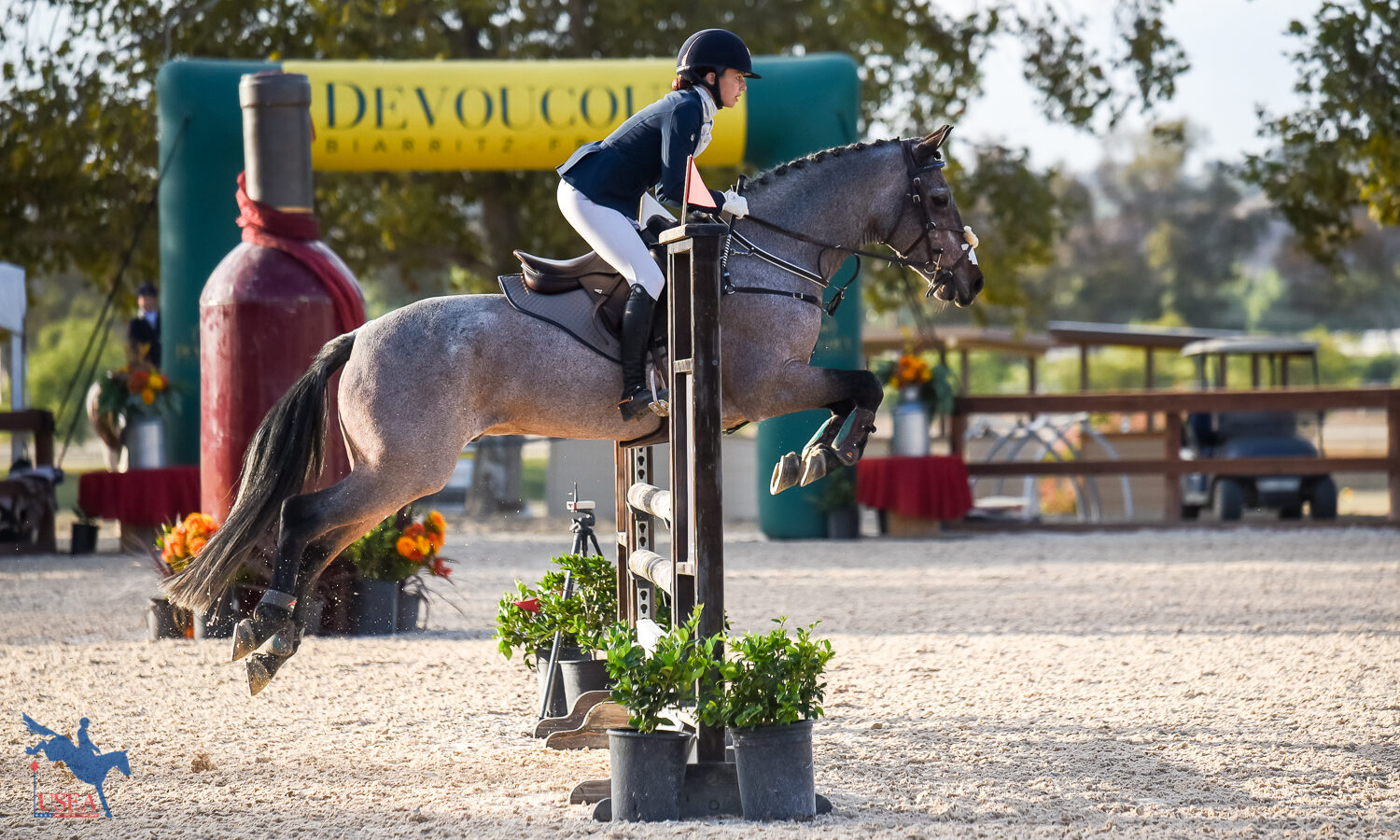 USEA | Rule Refresher: Show Jumping Elimination