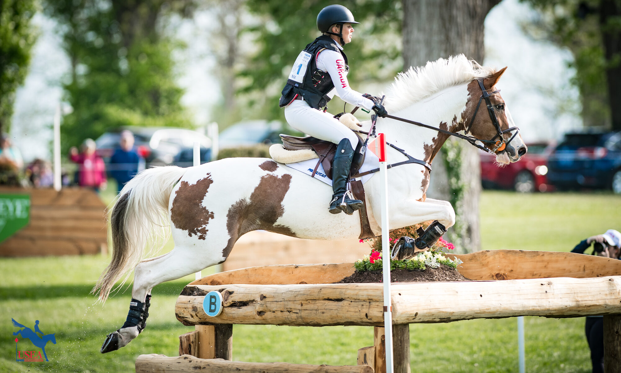 USEA | What Happened Where? 2024 K3DE CCI4*-S Cross-Country Rewind