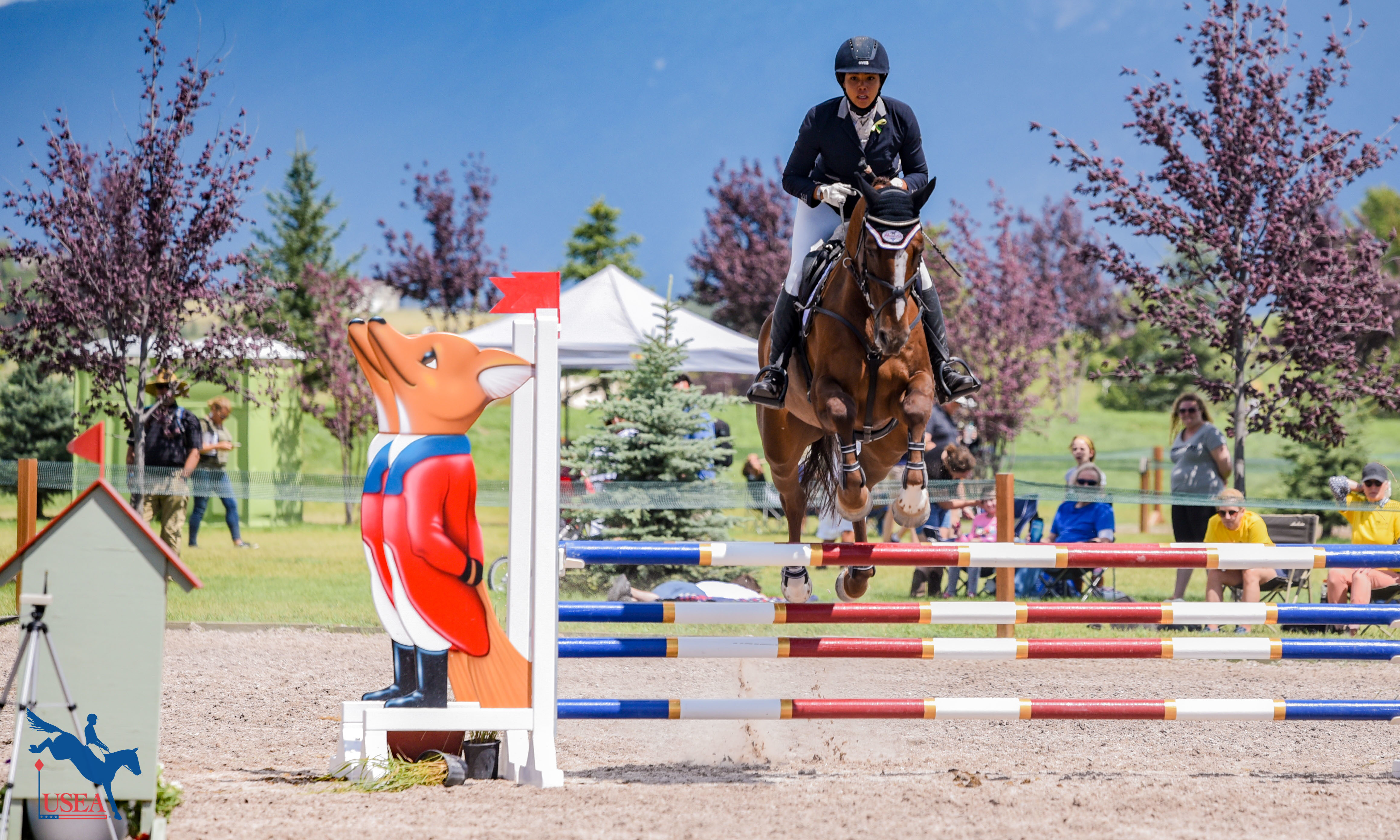 USEA | Rule Refresher: Show Jumping Time and Faults