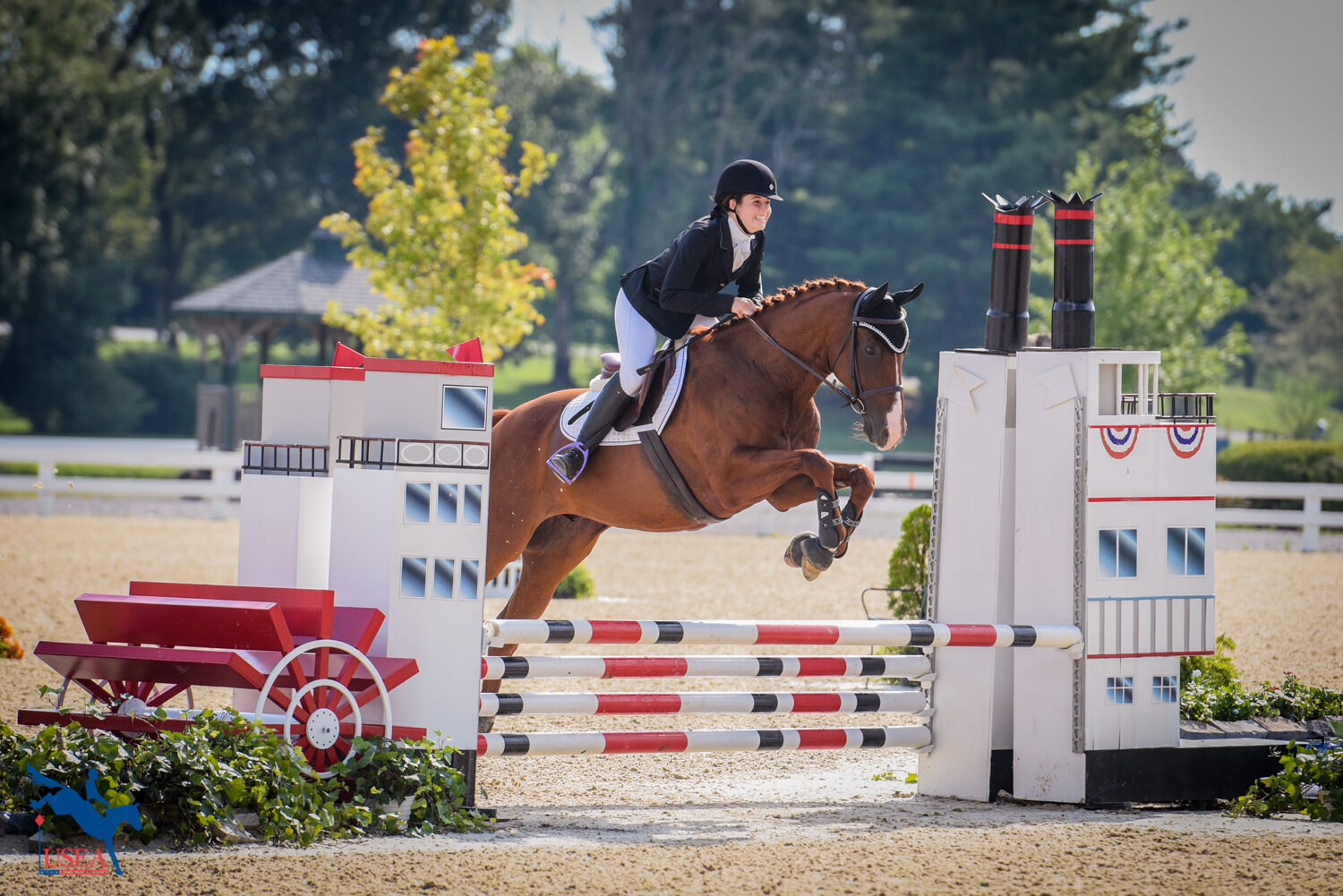 USEA | Rule Refresher: Show Jumping Penalties