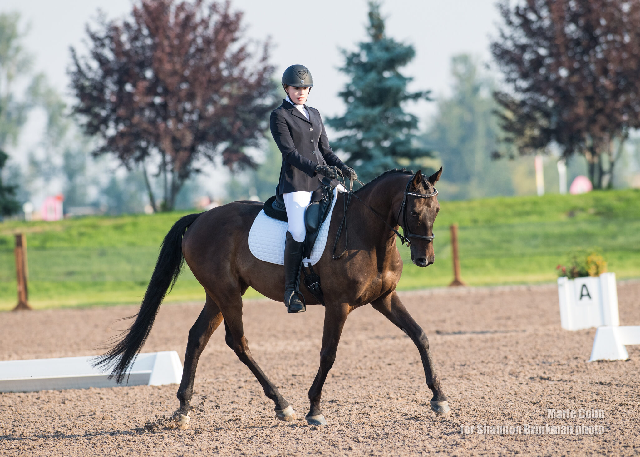 USEA | USEA Beginner Novice Championship Divisions Lead the Charge To…