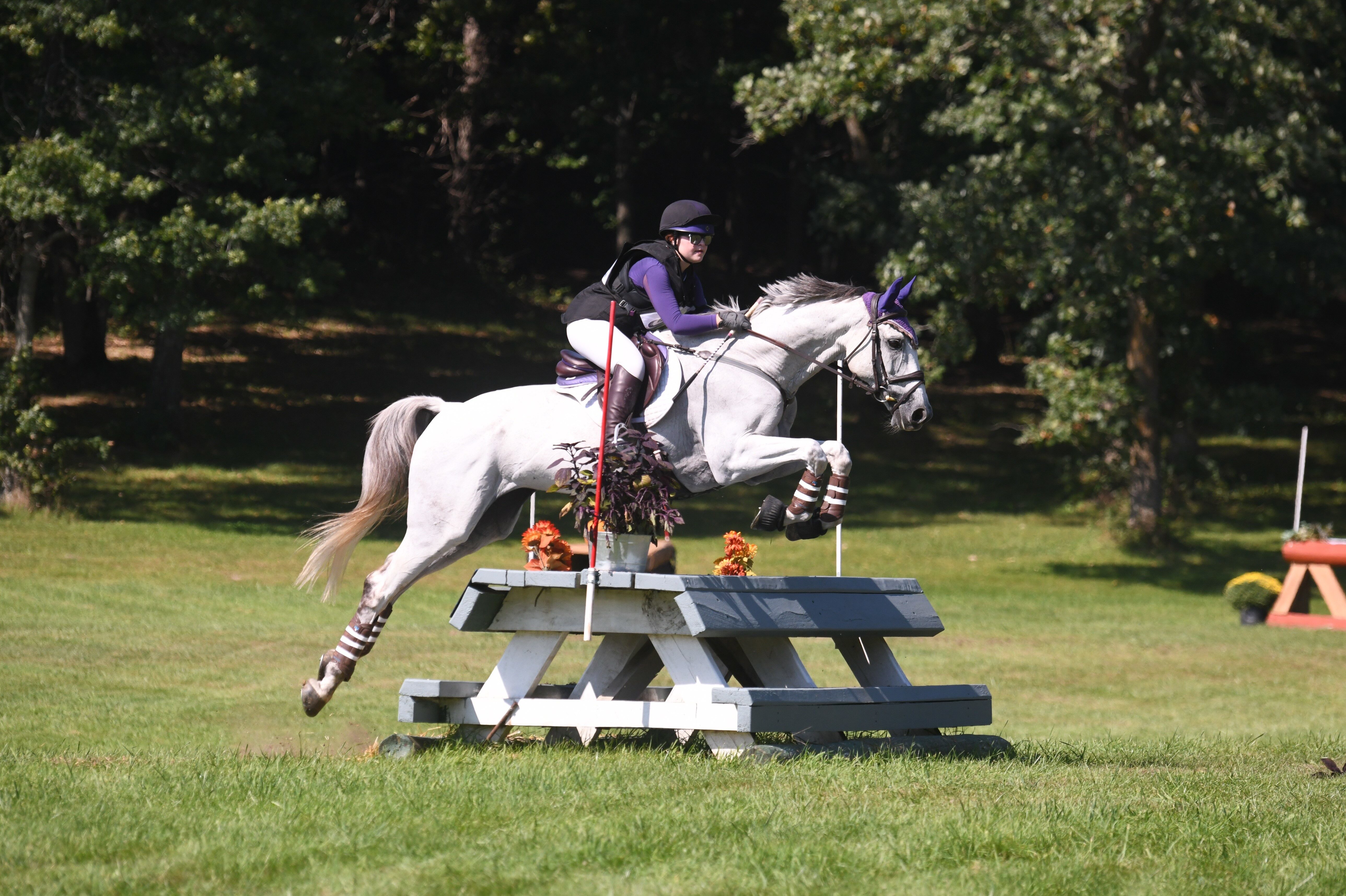 USEA | Mattison and Weisjahn Win in Wisconsin with the Charles Owen…