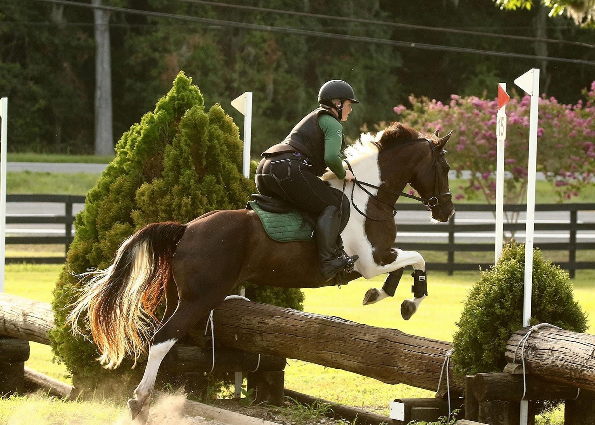 USEA | Change of Rein: Morgan Cooper Comes Full Circle with Eventing
