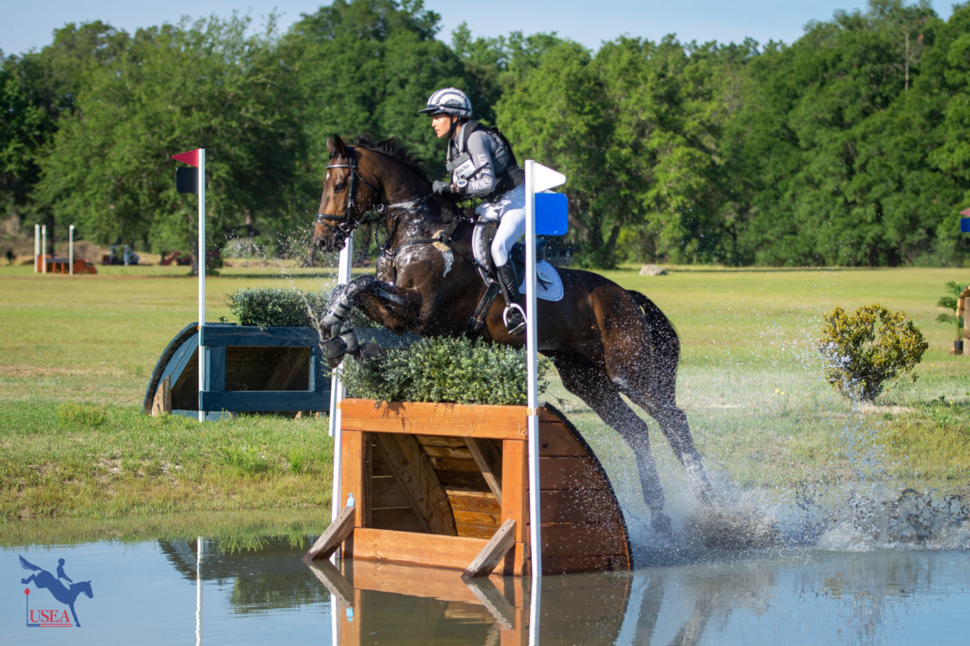 USEA | Book Your Trip to the 2024 USEA ECP Symposium Today!