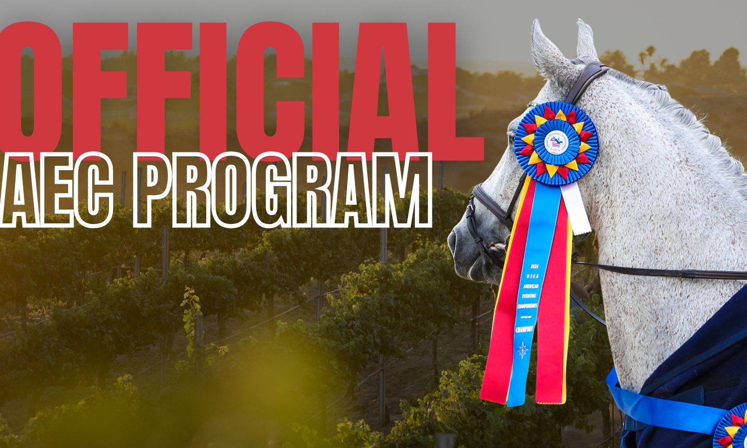 USEA | Access the #AEC2025 Official Program