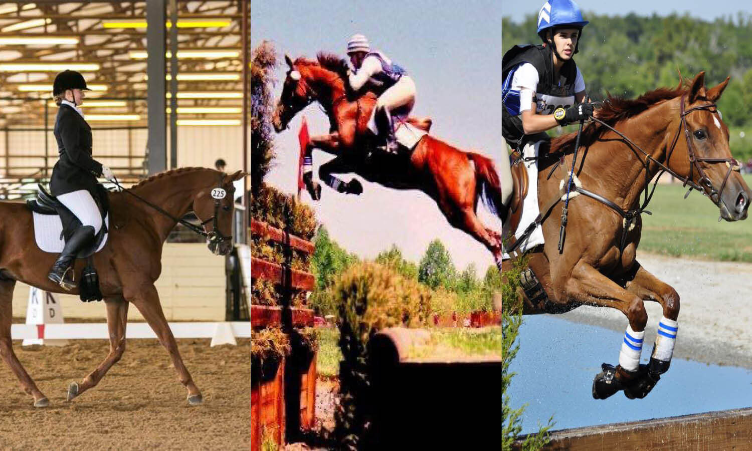 USEA | Horse Heroes: One2One