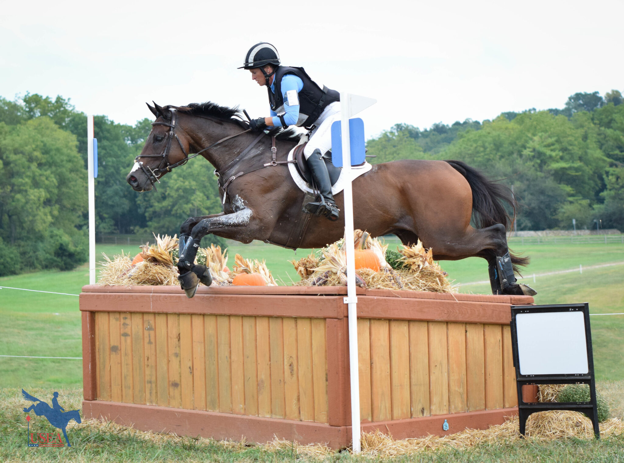 USEA | Paddy the Caddy Puts the Pieces Together for the Adequan USEA…