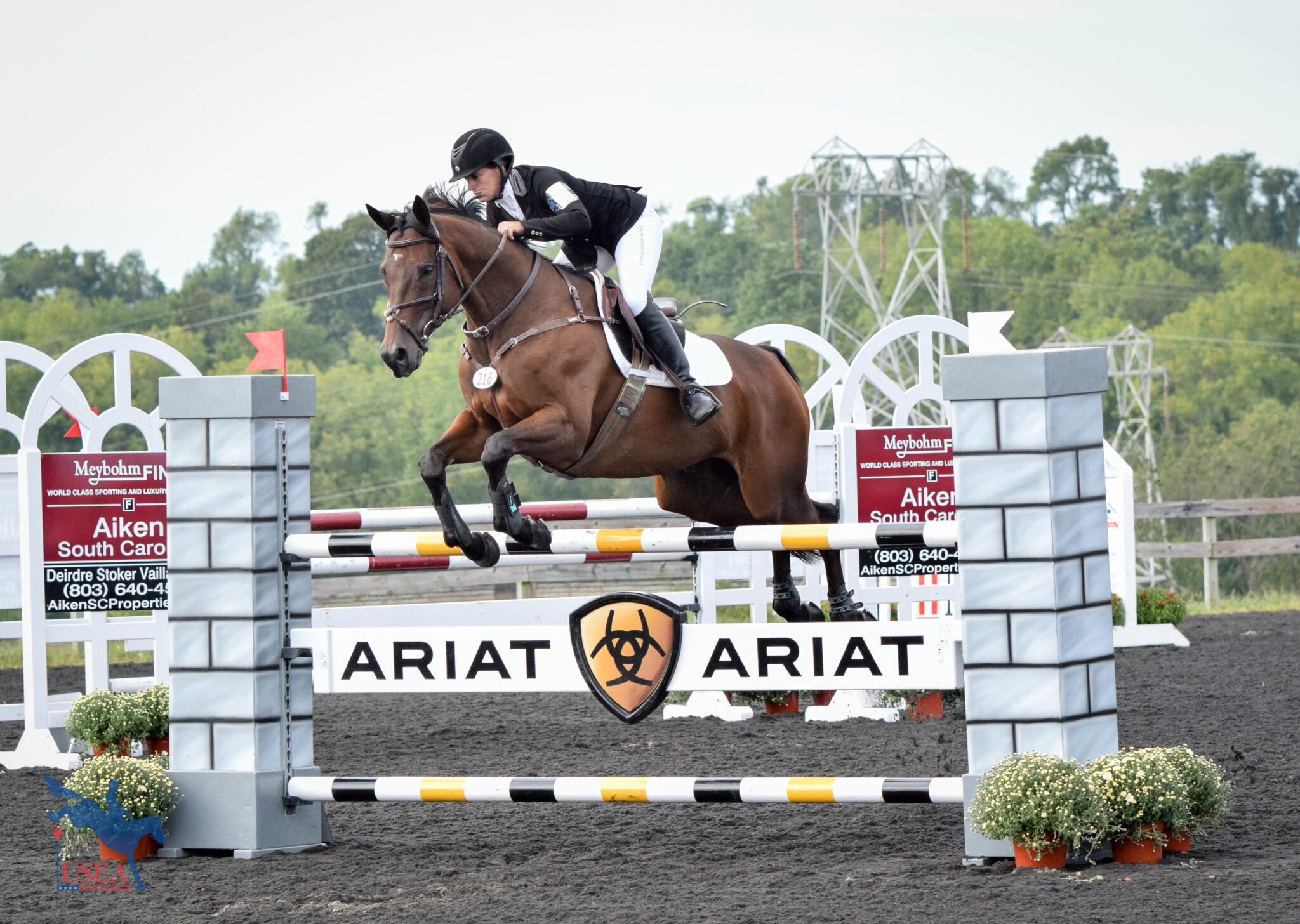 USEA | Erin Sylvester and Paddy the Caddy Hold Their Adequan USEA…