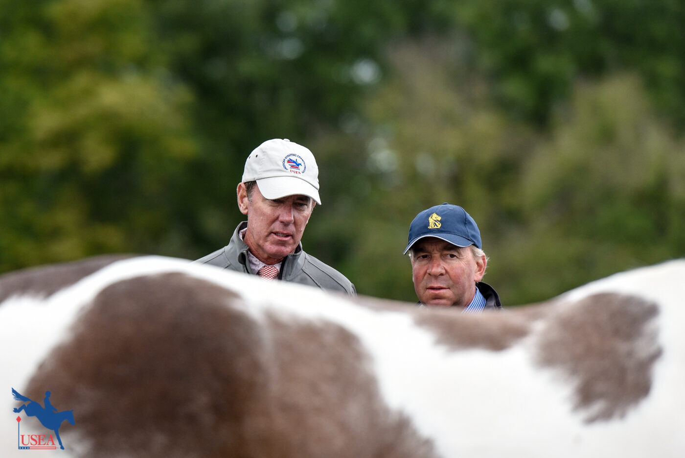 USEA | Judging the Future with Peter Gray