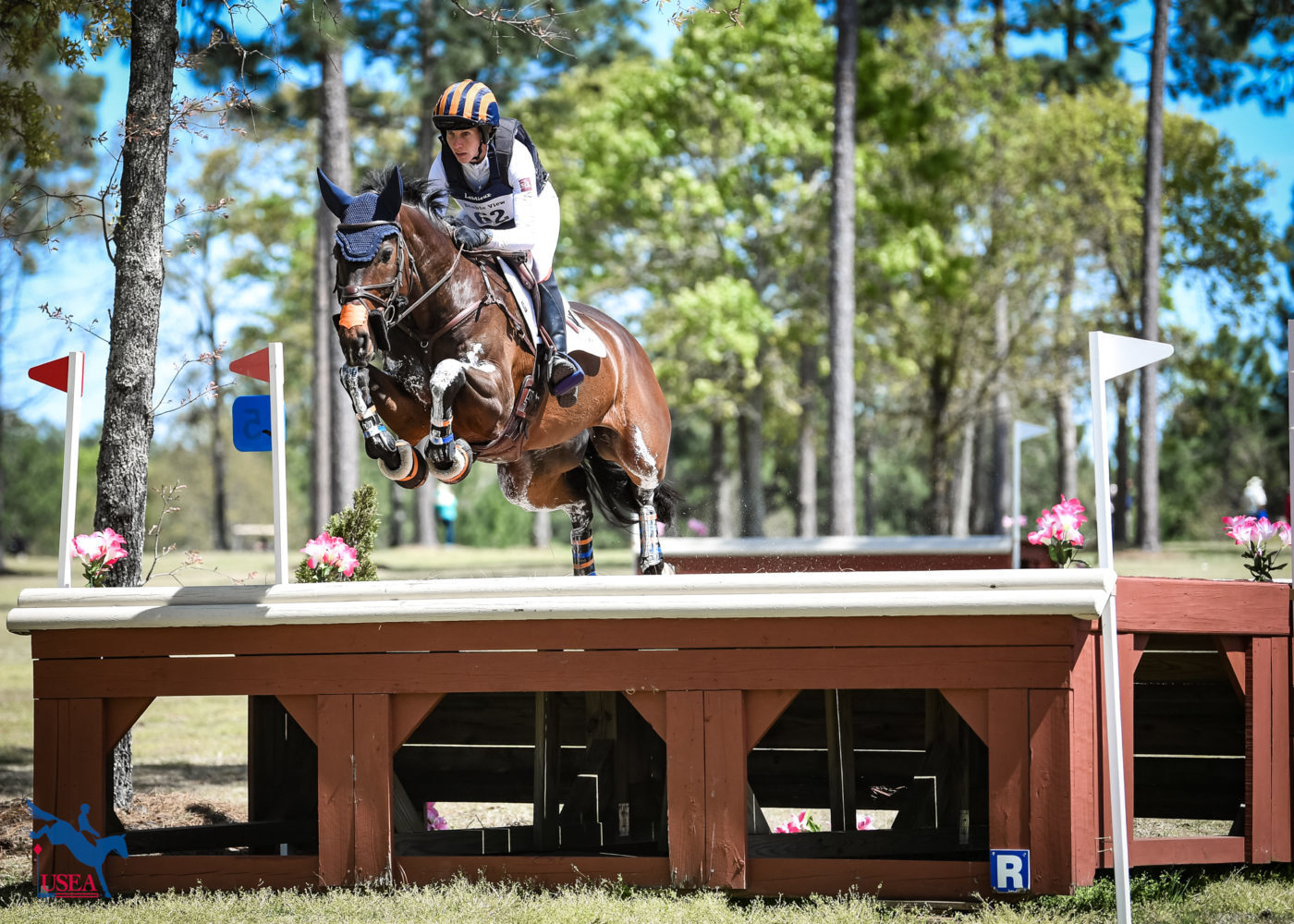 USEA | US Equestrian Announces Updates to Defender U.S. Eventing Team…