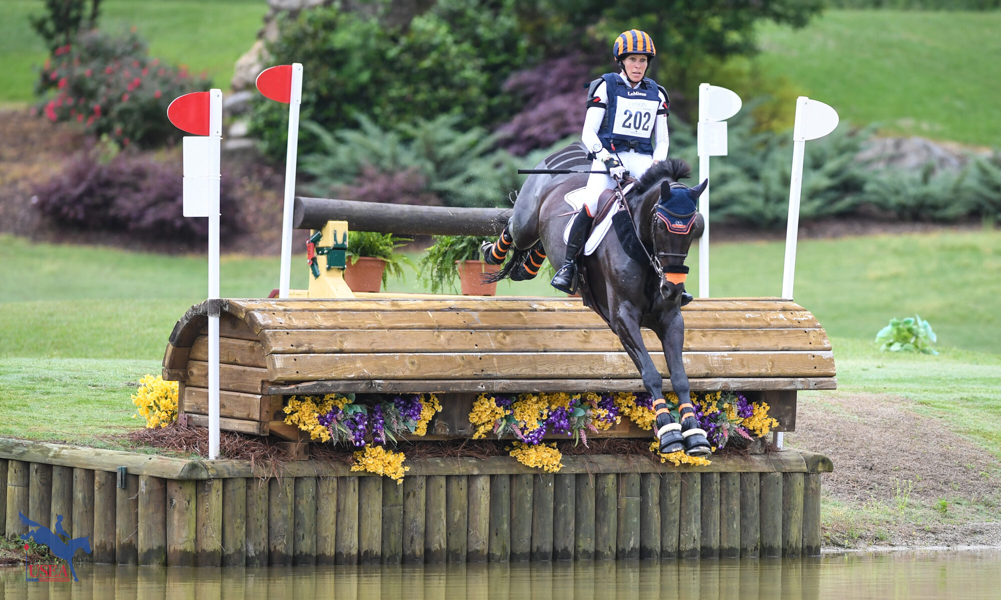 USEA | Halliday-Sharp Hangs On to Tryon International CCI4*-L Lead