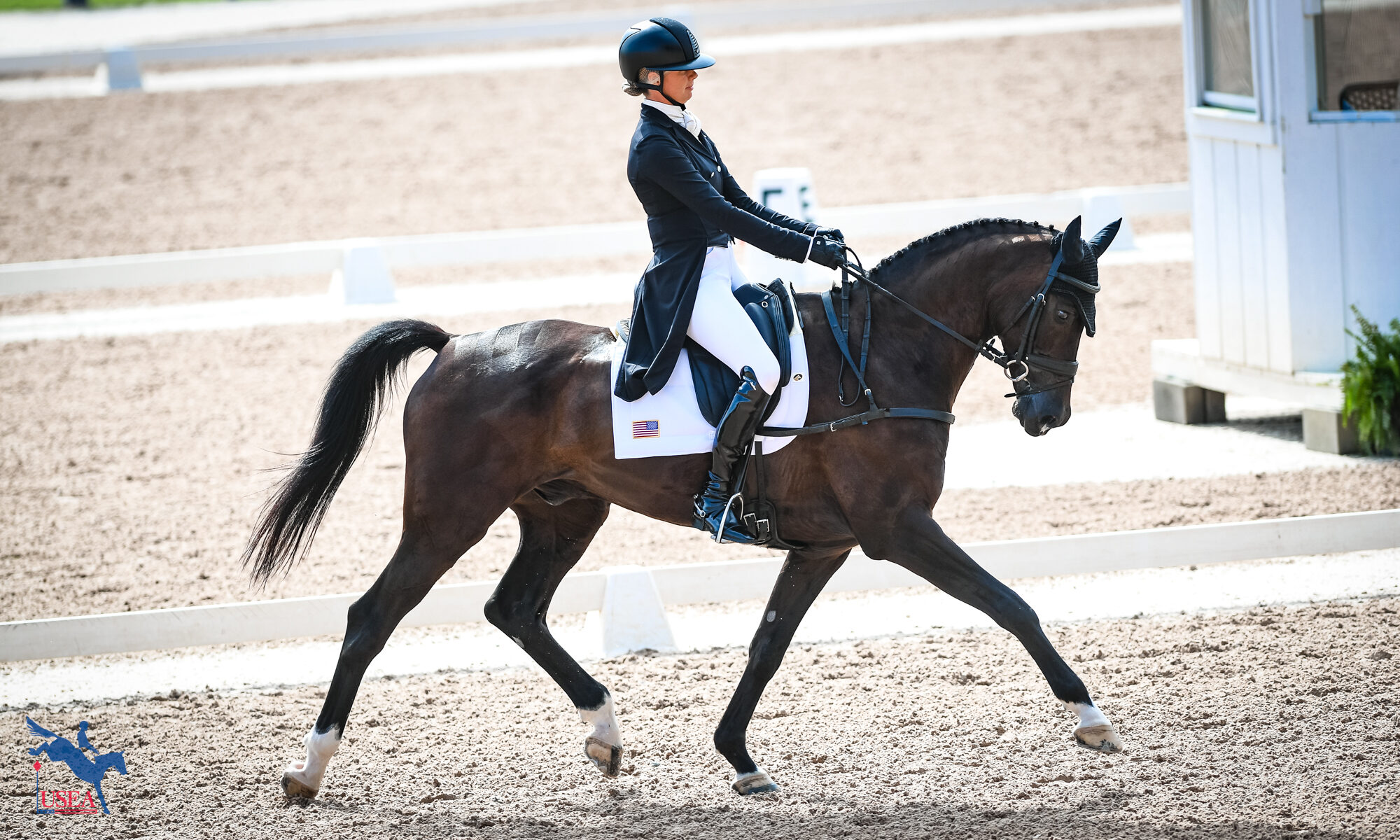 USEA | Pamukcu and Her 'Unicorn' HSH Blake Lead Tryon International…