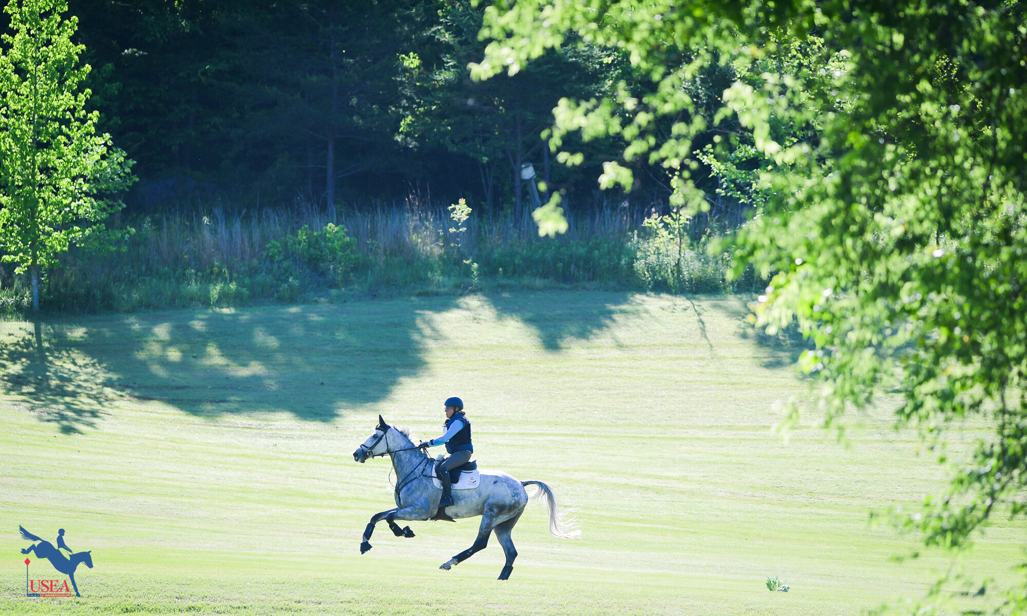 USEA | Through the Lens: 2024 Tryon International