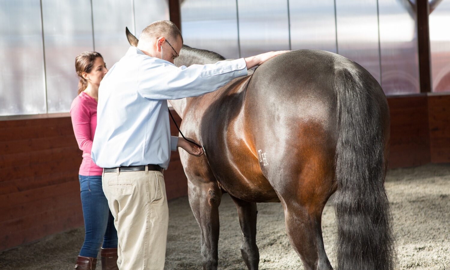 USEA | Pre-Purchase Examination 101: With Dr. Shauna Spurlock