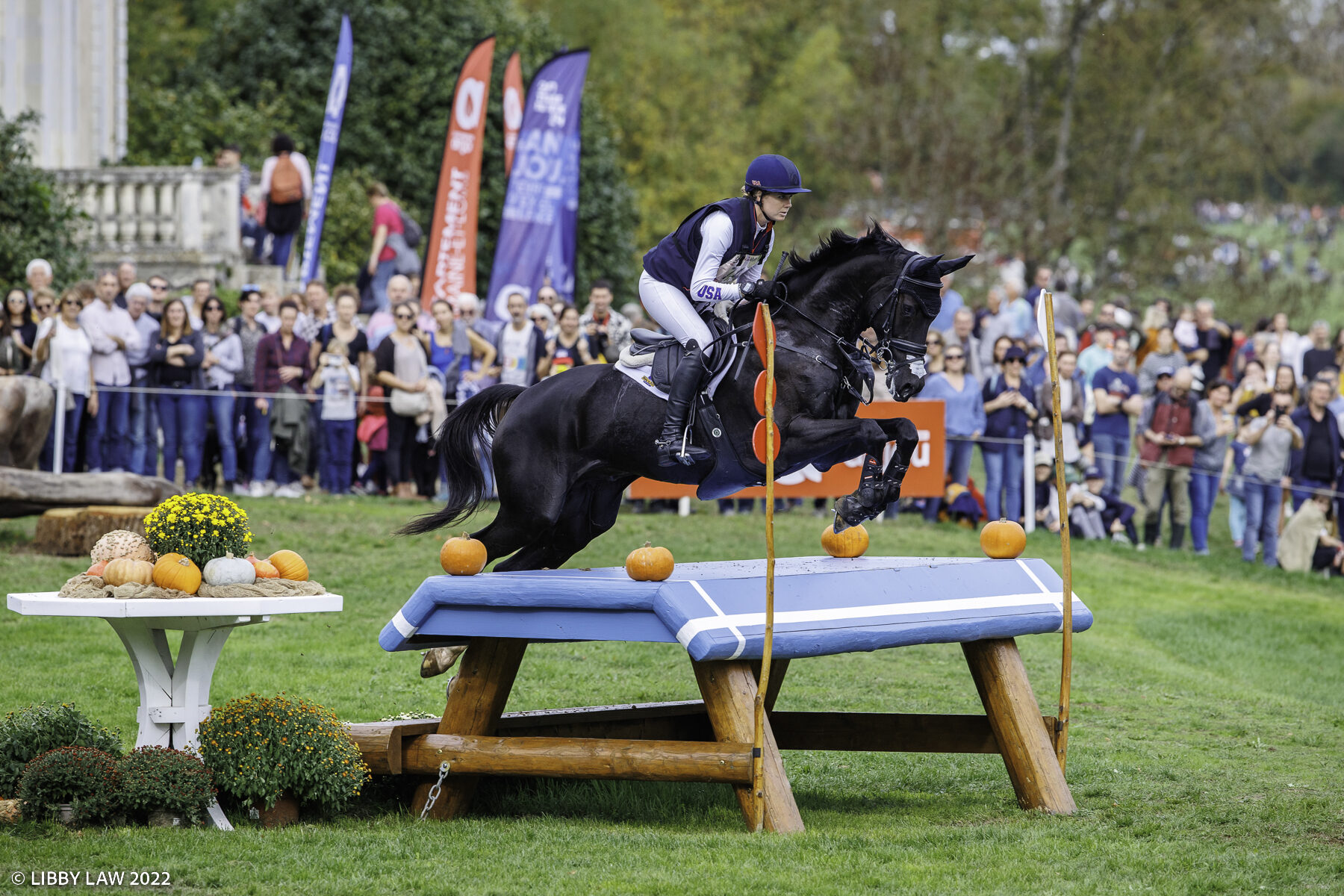 USEA | Learning about Young Event Horses: Setting Goals