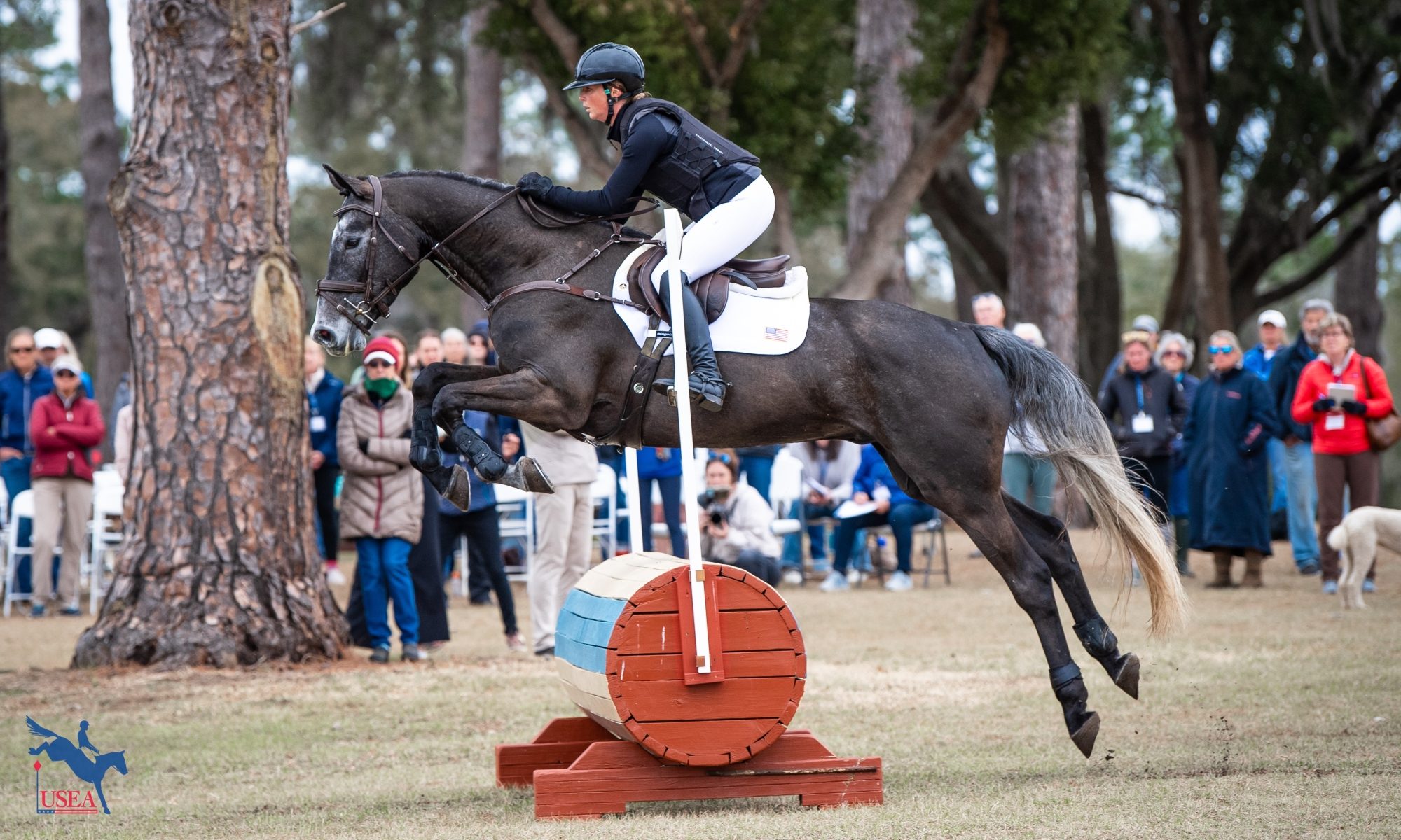USEA | Through the Lens: 2026 Ocala Horse Properties USEA Young Event…
