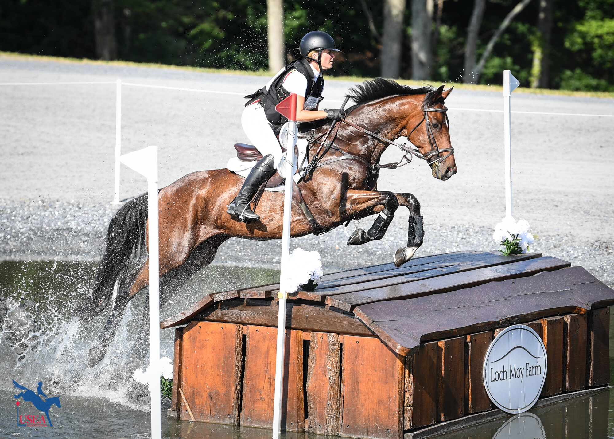USEA | Weekend Quick Links: June 28-29