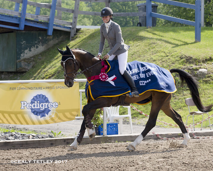 USEA | Jordan Linstedt Wins the Bromont CCI3* Three-Day Event