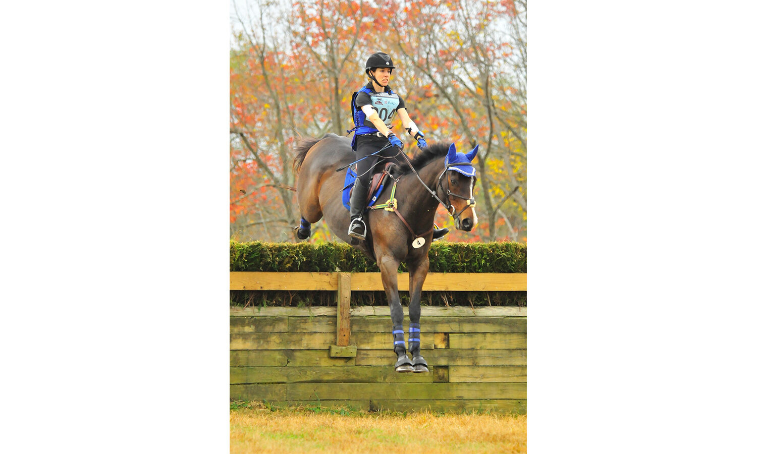 USEA | Tincher and Feaga Find Success at the Waredaca Hylofit USEA…