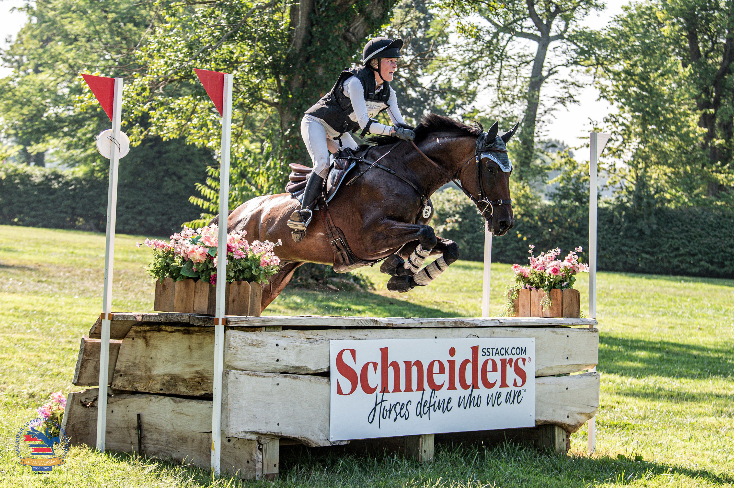 USEA | Modified Riders Get The First Shot at Cross-Country at the…