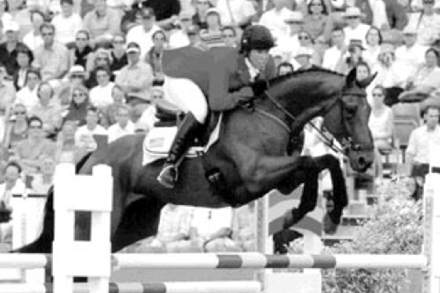 USEA | Amy Tryon (1970-2012)